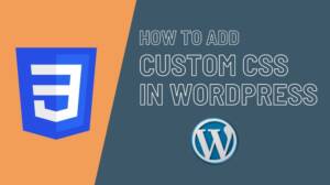 How to add custom CSS in your WordPress website – IT DOCTORZ